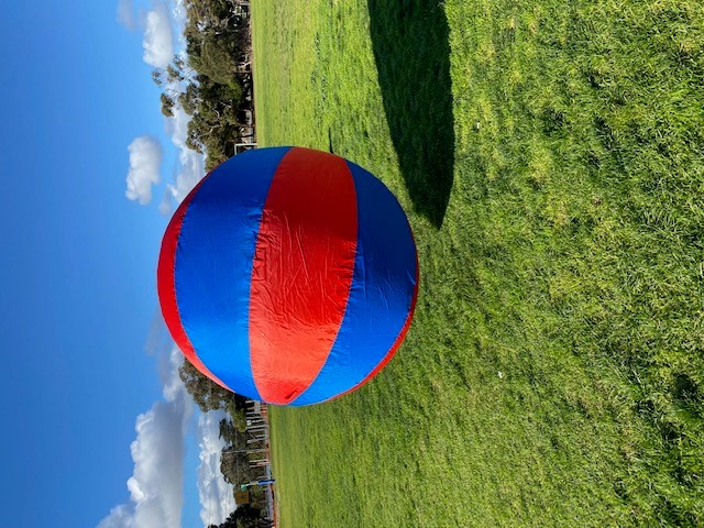 Giant Ball Hire Adelaide