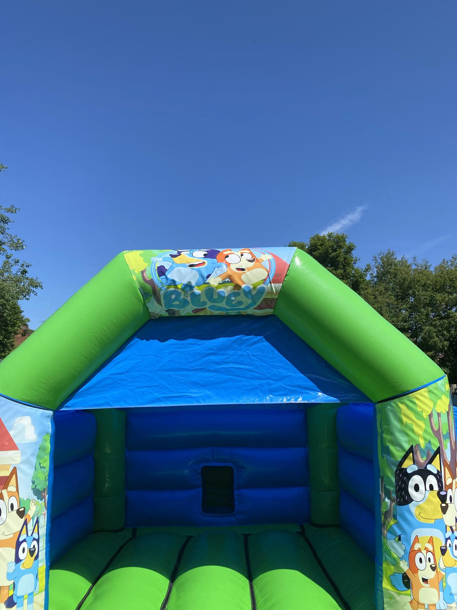 Blue/Green Bluey themed bouncy castle - Bouncy castle hire in Coventry ...