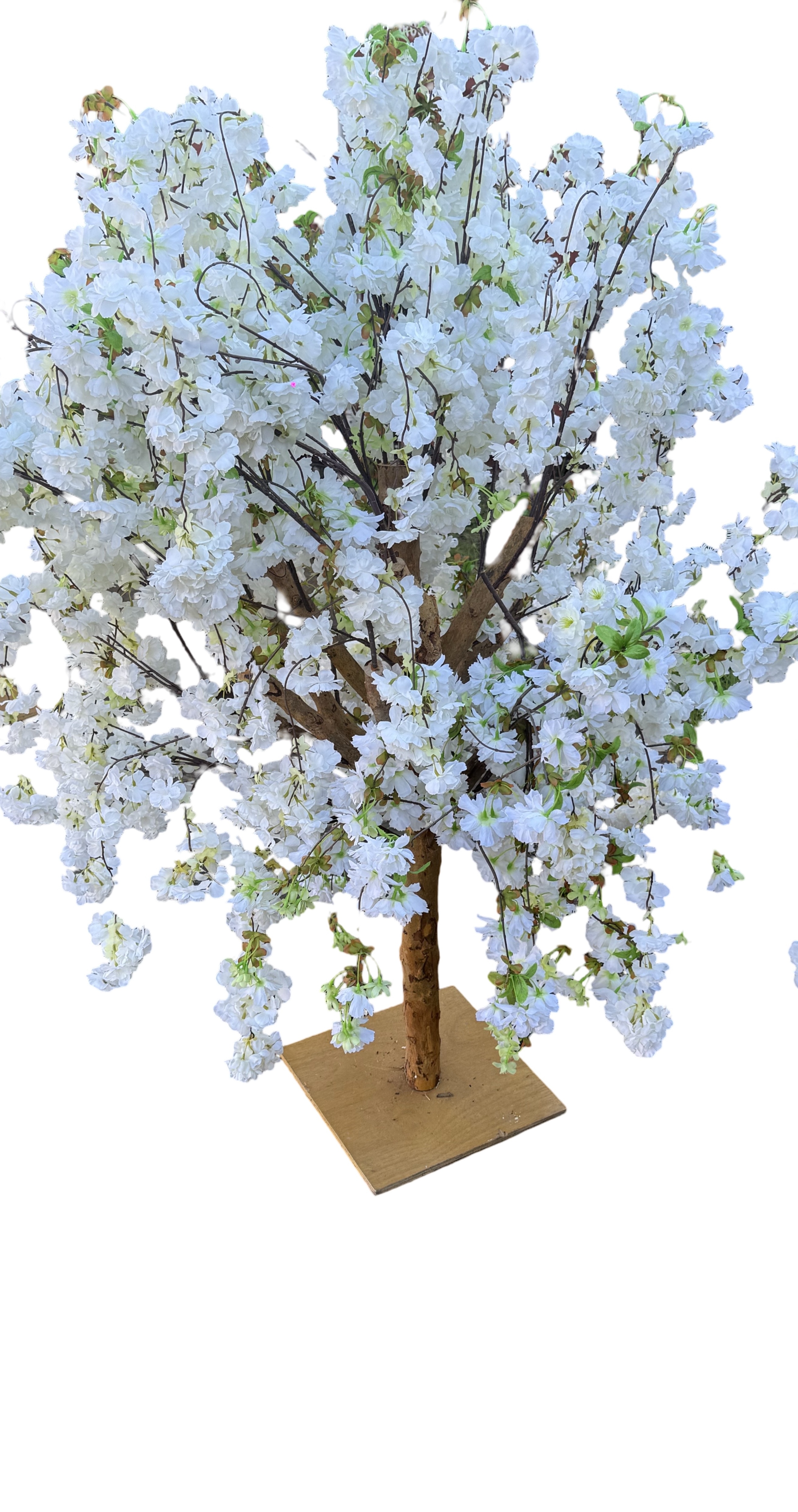 White Cherry Blossom Tree - Hire in La | Regal Event Company LLC