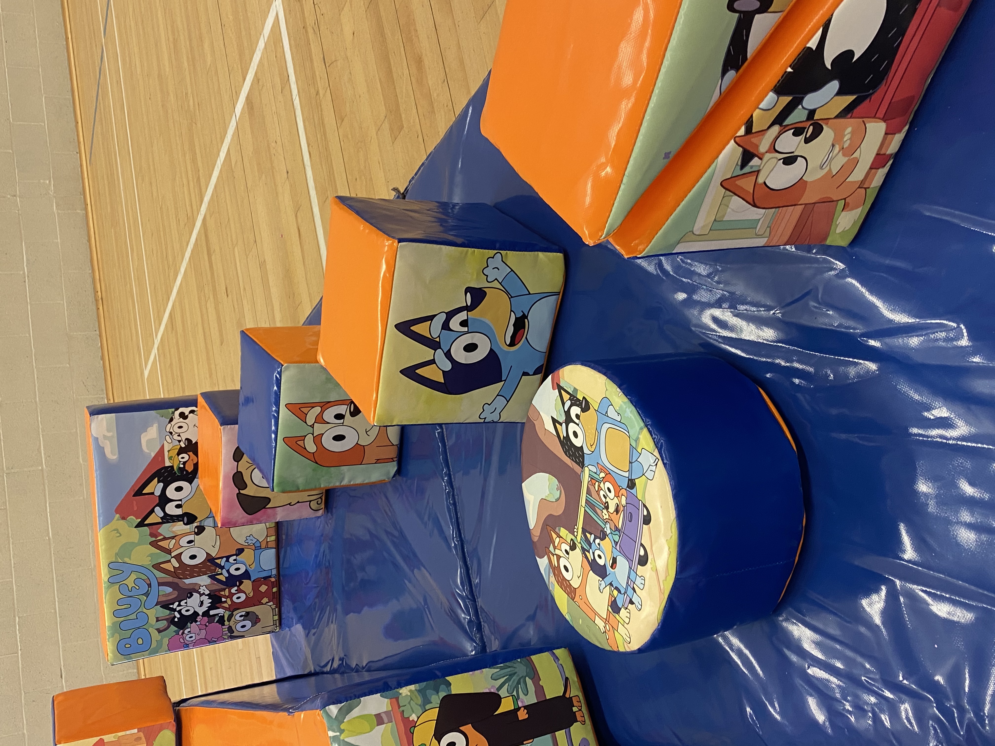 Bluey Soft Play Shapes & Ball Pit - Bouncy Castle Hire in Aylesbury ...