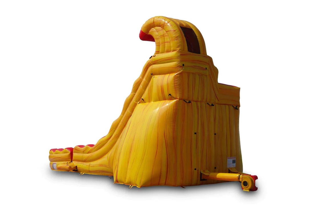 20-Foot Curved Inflatable Dual Water Slide Rental | Wet & Dry Fun