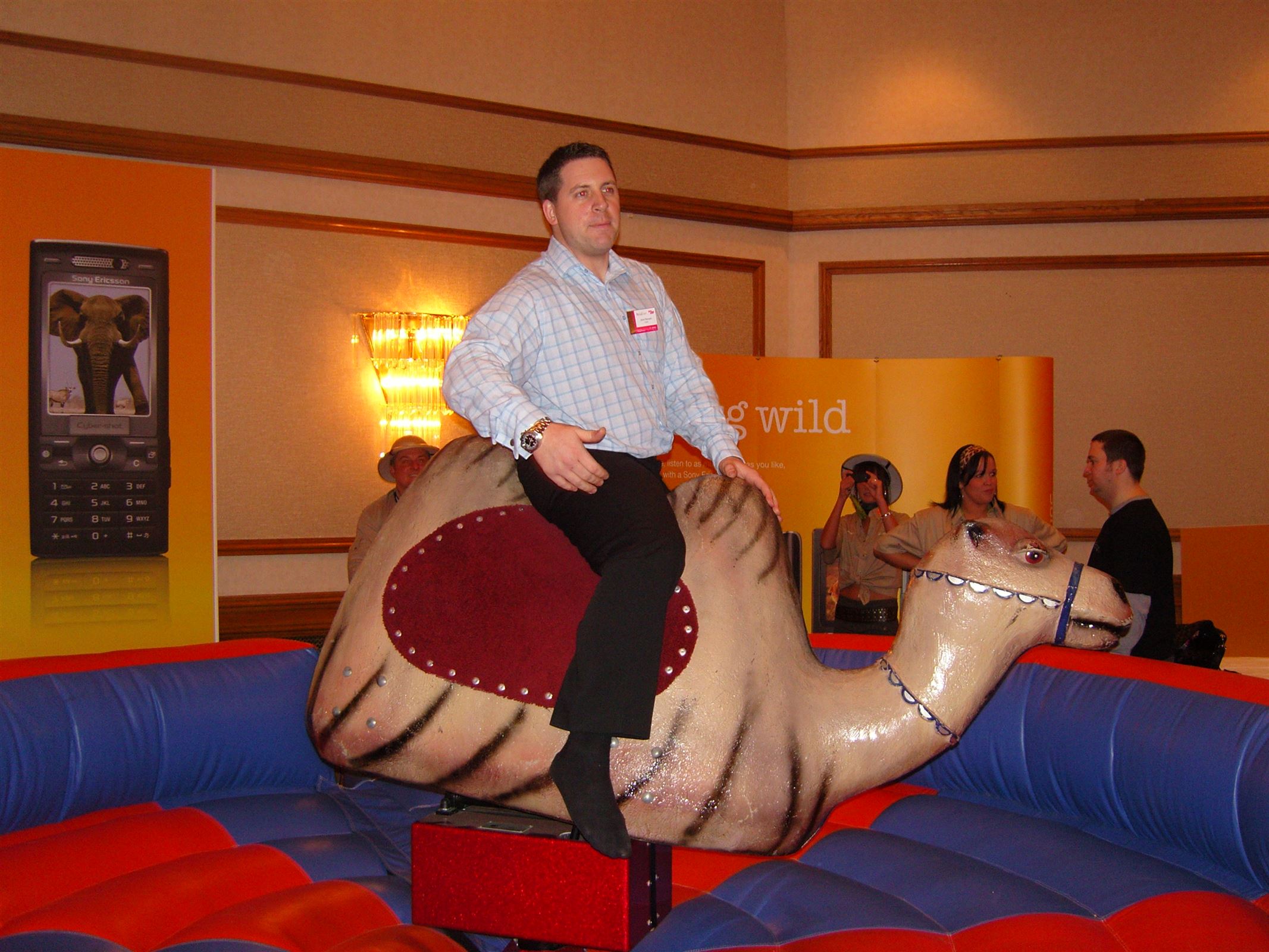 Bucking Camel Hire - Rodeo Bull Hire in Essex, London & Nationwide ...