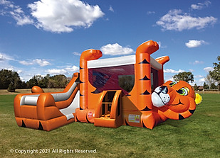 Wet Inflatables - Rentals in Wisconsion | Blue Sky Inflatables, LLC