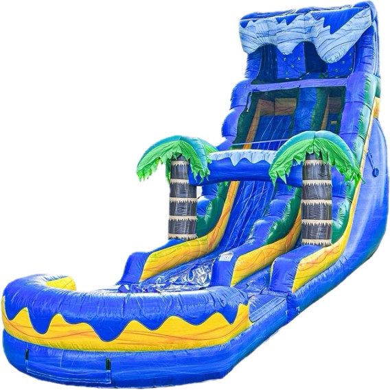Water Slides - Bounce House Rental in Alabama | Family Party Rentals