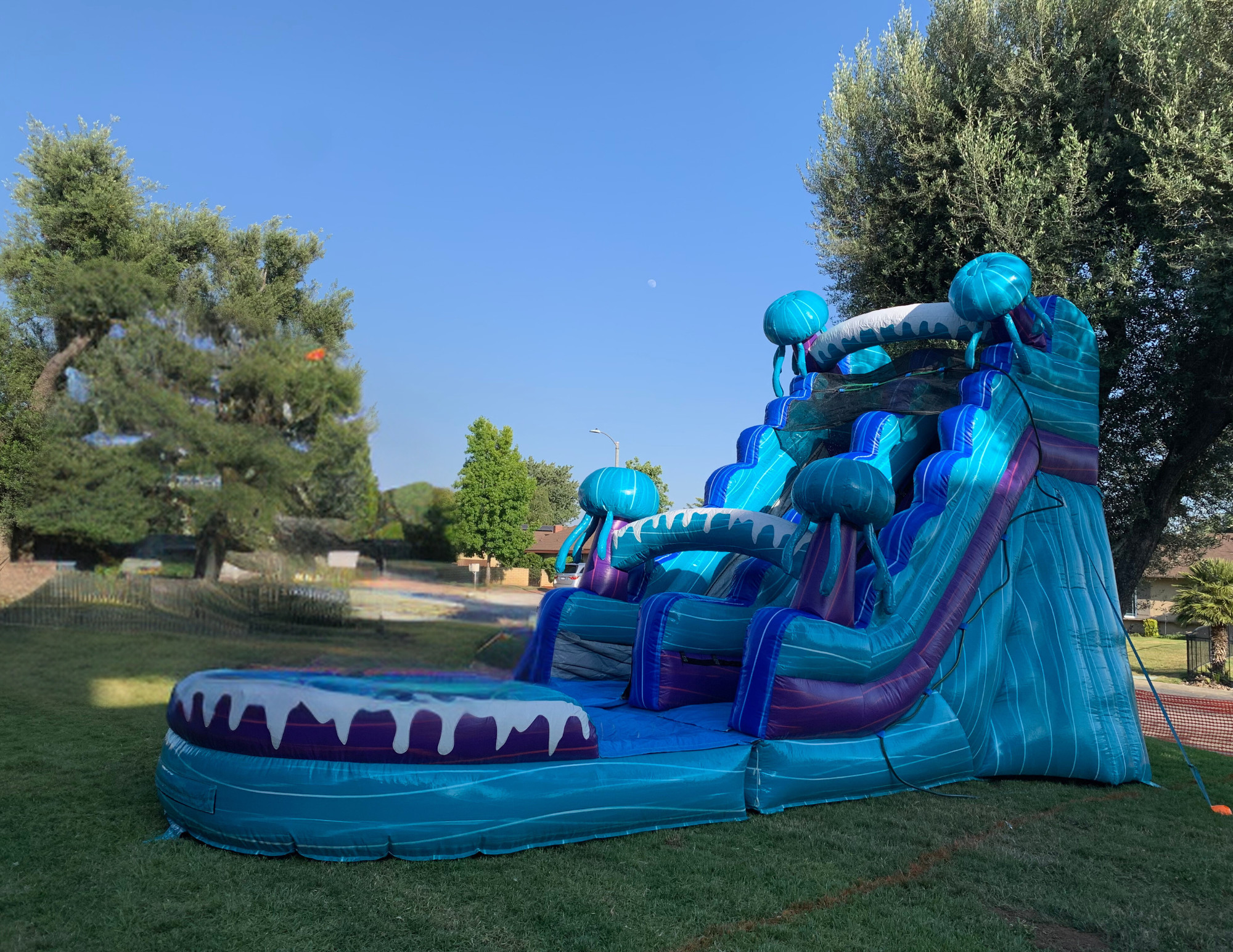 Jellyfish Fields - Rental in Redlands, California | The Bounce House of ...