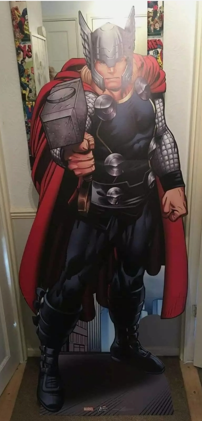 THOR. Full size Cardboard Cutout. - Bouncy Castle Hire in London ...