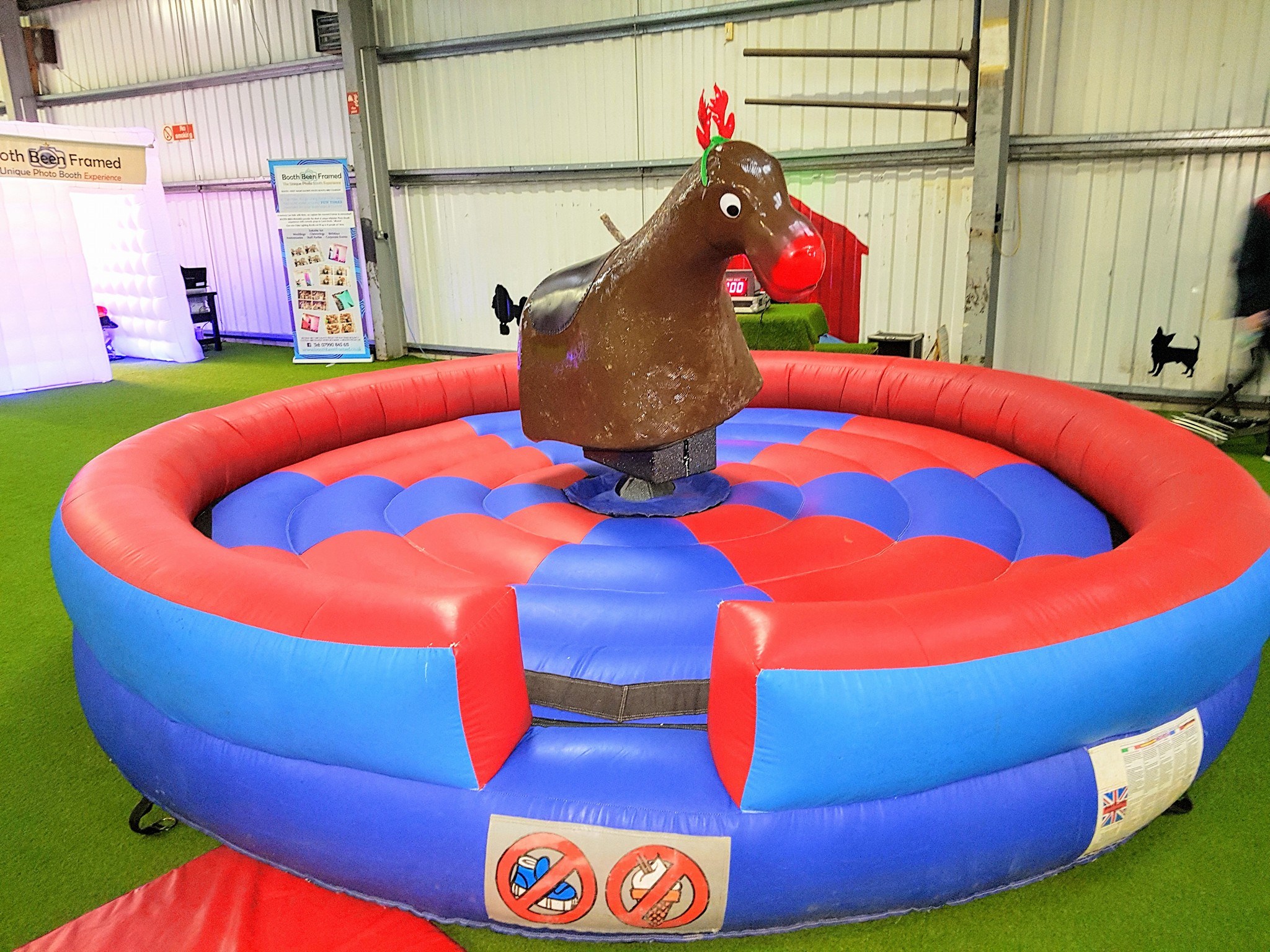 Rodeo Reindeer Hire | Swansea, Pembroke, Carmarthen, Wales