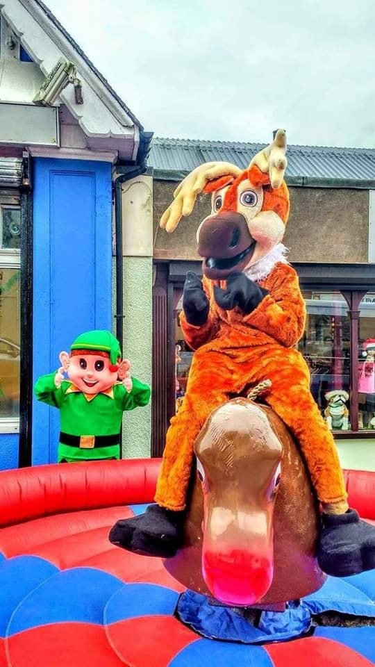 Rodeo Reindeer Hire | Swansea, Pembroke, Carmarthen, Wales