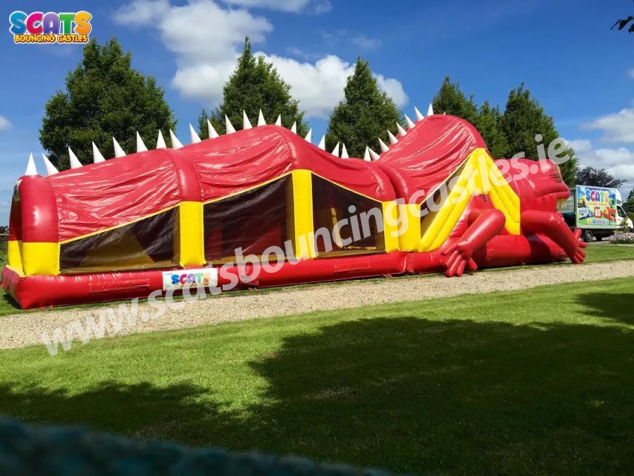 Lizard Obstacle Course