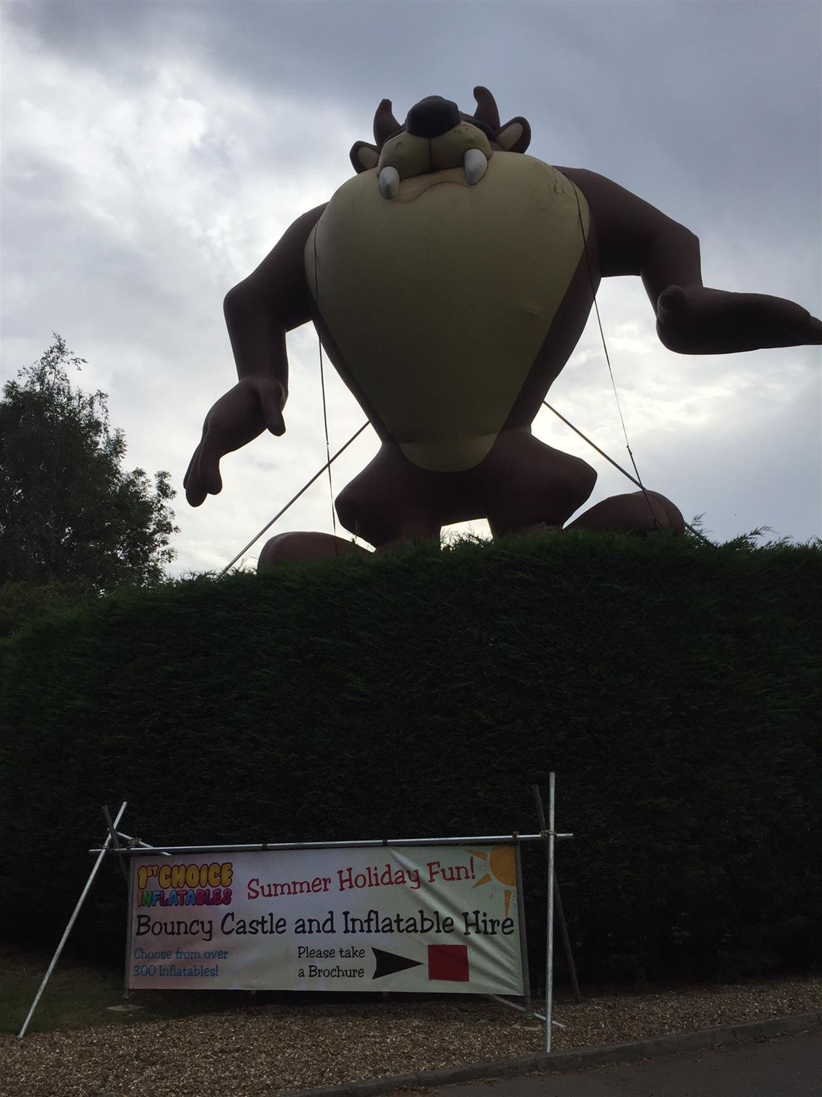 Tasmanian Devil Taz Inflatable 25ft High - Bouncy Castle Hire in Kent ...