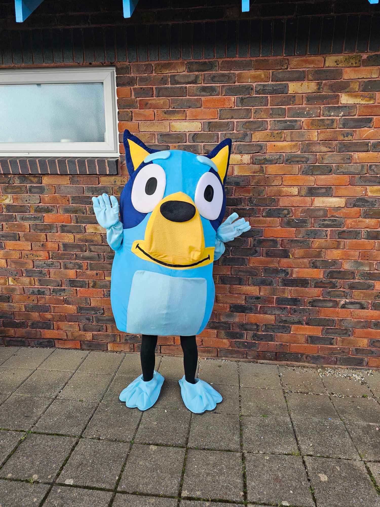 Bluey mascot hire - Best Mascot Hire Service in Portsmouth