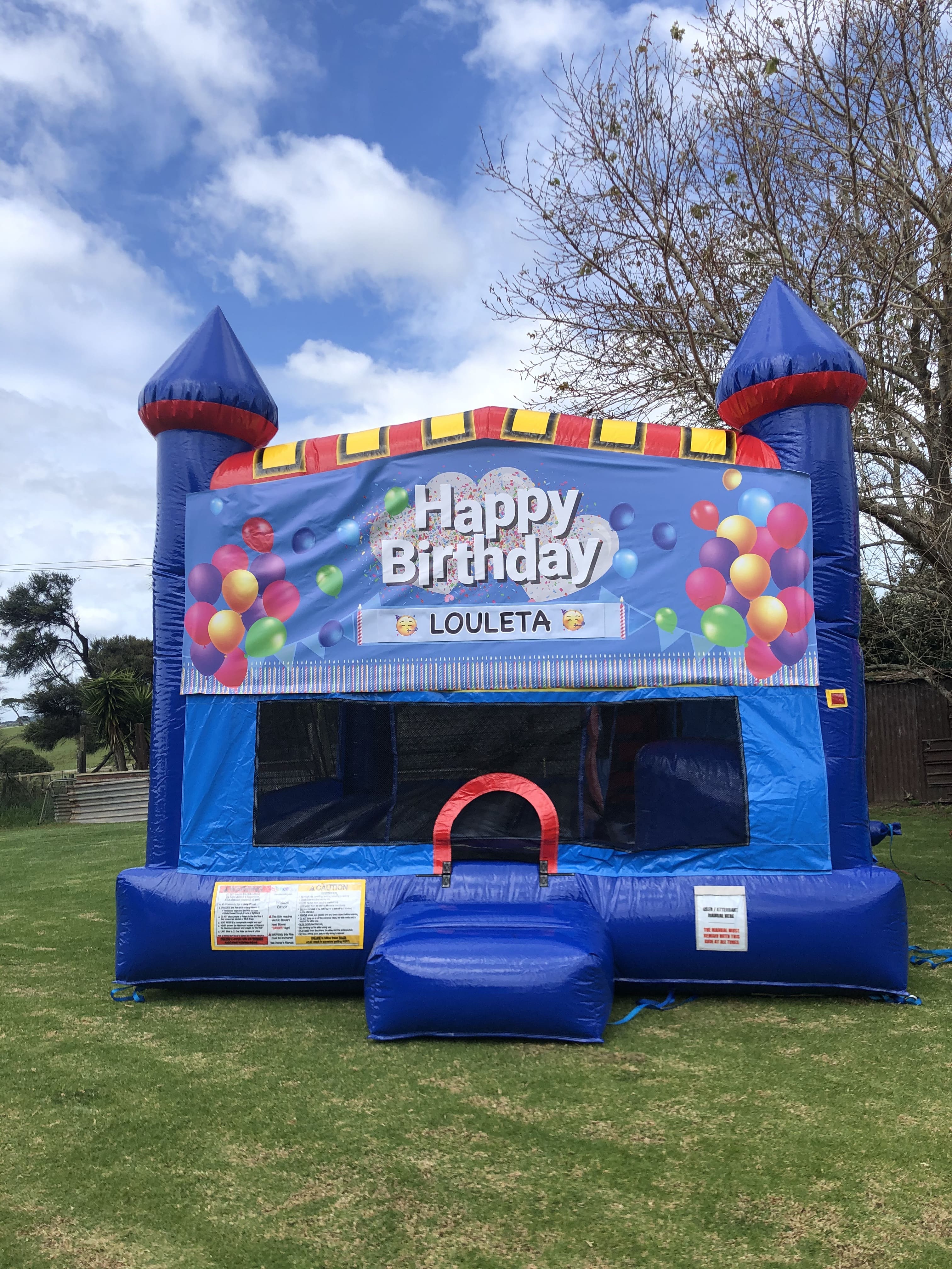 Themed Bouncy Castles For Hire | Auckland Bounce Castles