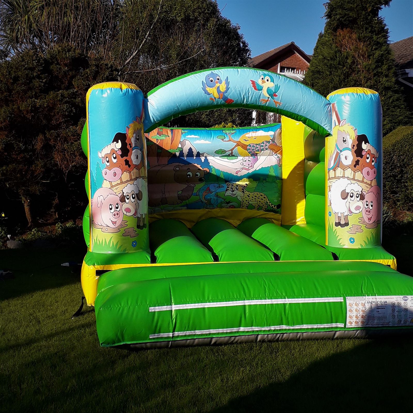 10ftx12ft Animals Castle - Bouncy Castle Hire, Inflatable Game Hire in ...