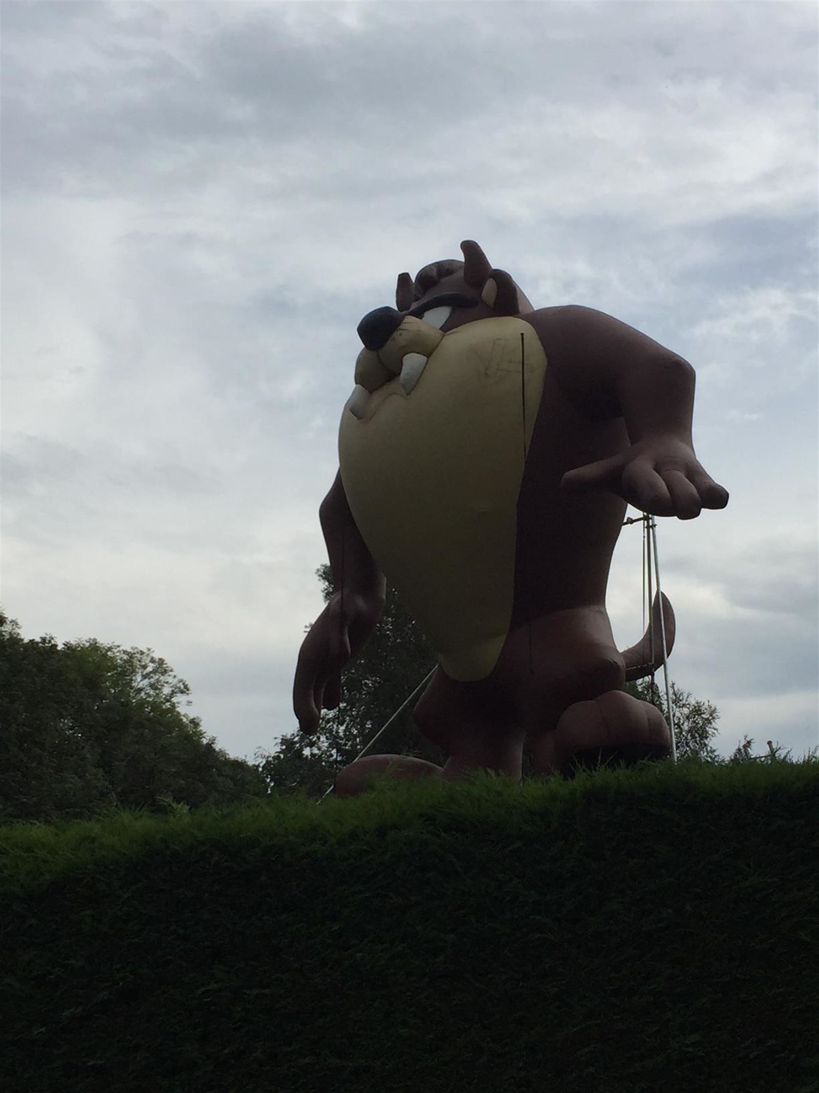 Tasmanian Devil Taz Inflatable 25ft High - Bouncy Castle Hire in Kent ...