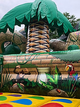 Jungle World Kid Combo - Rentals in Wisconsion | Blue Sky Inflatables, LLC