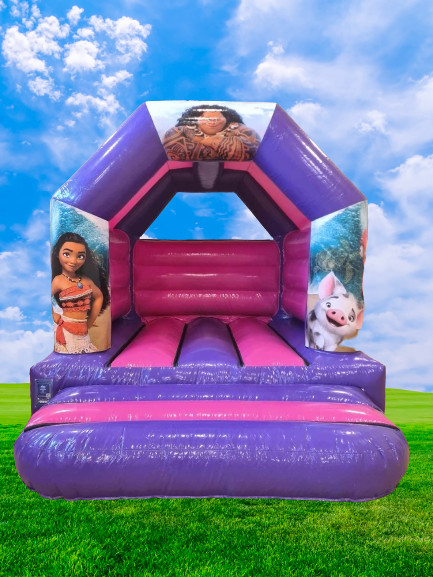 11' x 15' Moana Castle - Bouncy Castle Hire in Cleveland | Wobbly Wot Notz