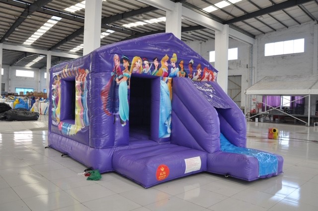 Disney Princess Combo front Slide - Hire in Dublin | Alfa Bouncing ...