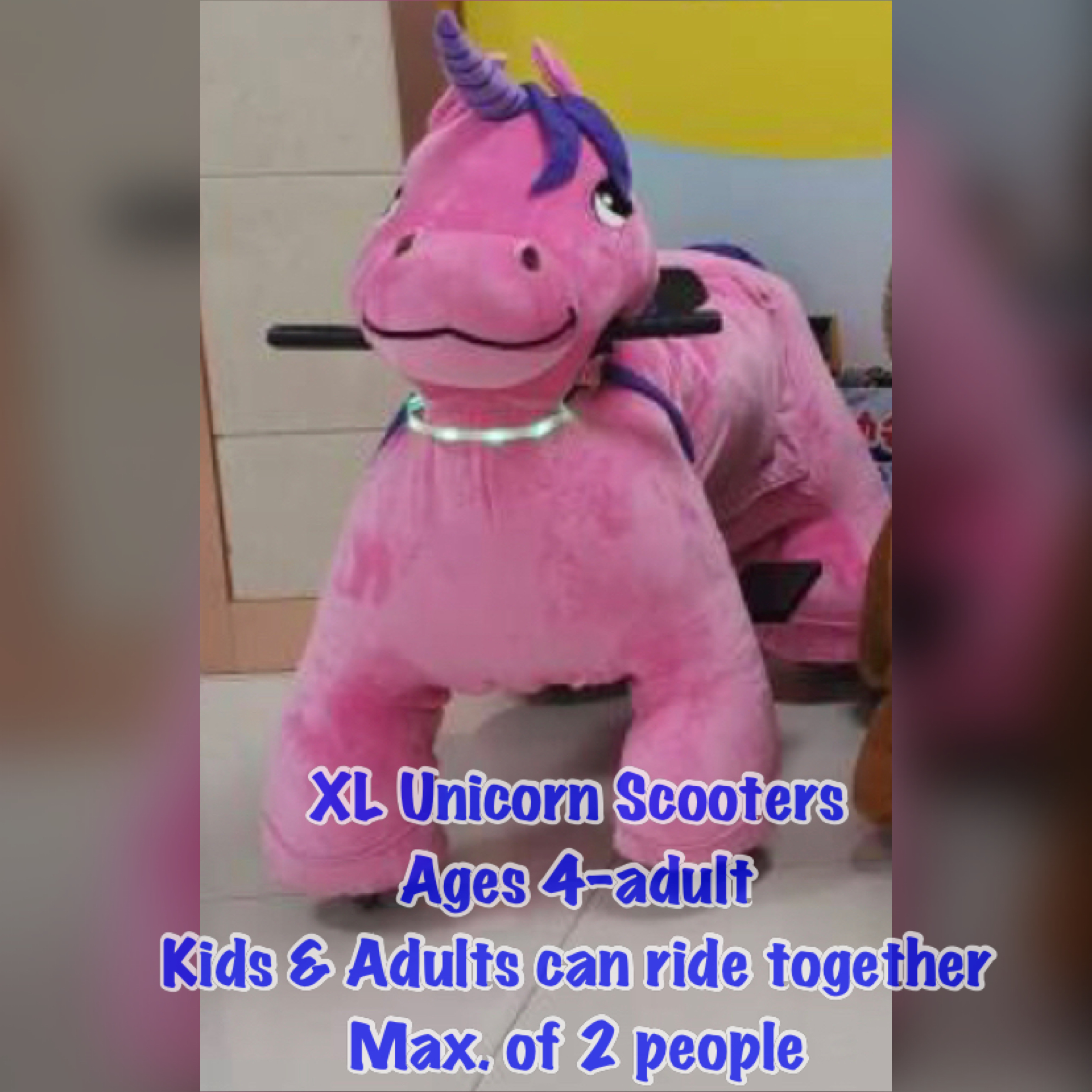 Ride-ons - Inflatable Racetrack Rentals in Houston