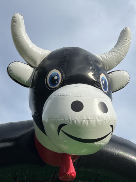 Farm 3D Castle (12ft x 12ft) - Hire in Hersham, Walton on Thames ...