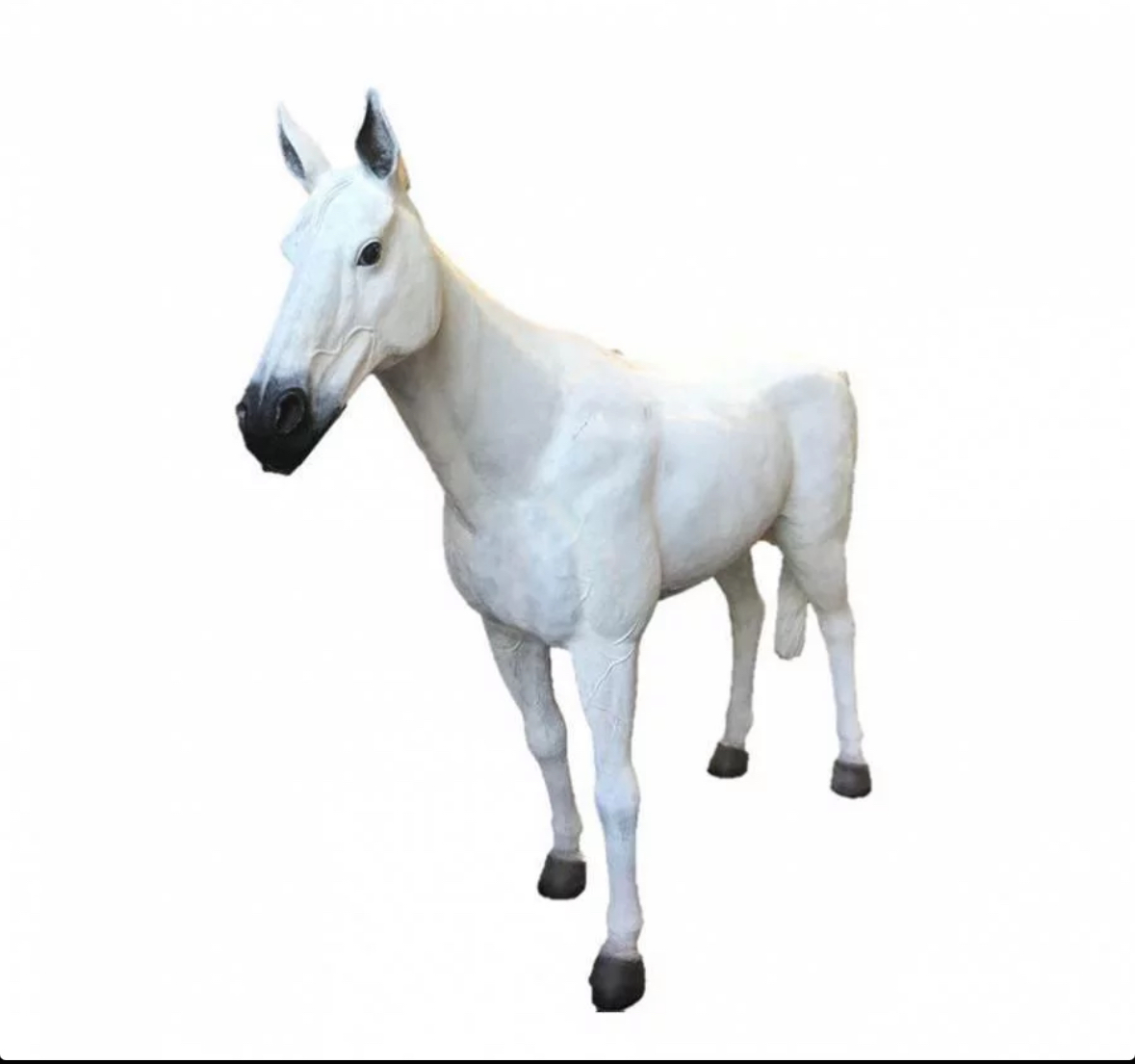 Animal Props for Hire in Kent – Elephants, Tigers, Giraffes & More