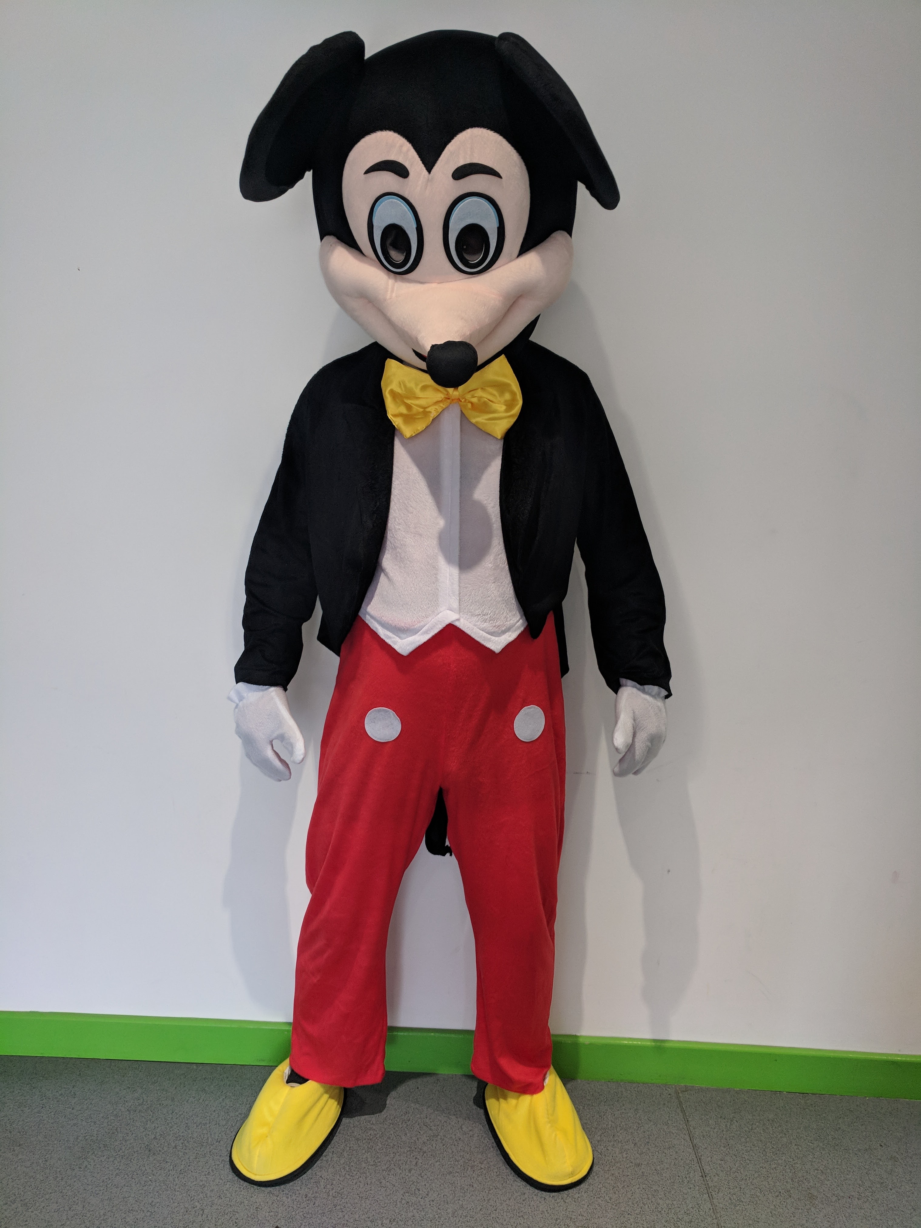 Mascot Appearances - Bouncy Castle Hire in Ashford, Aldington, Appledore