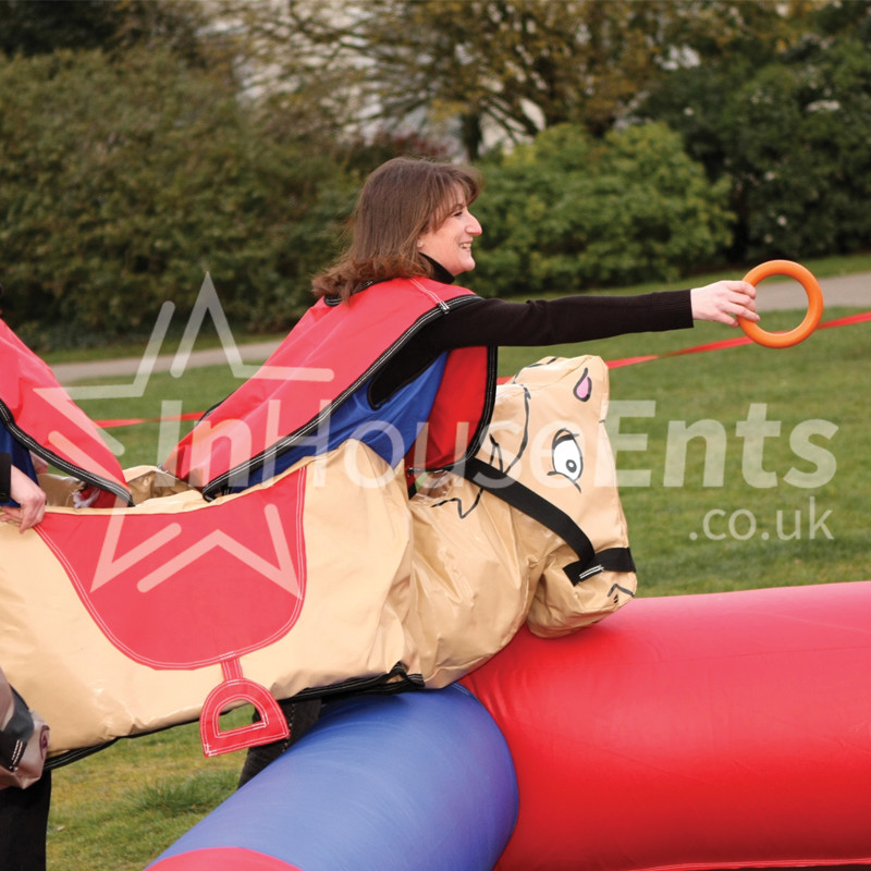 Its a Knockout Gold Show - Bouncy Castles & Inflatable Games in Swansea ...