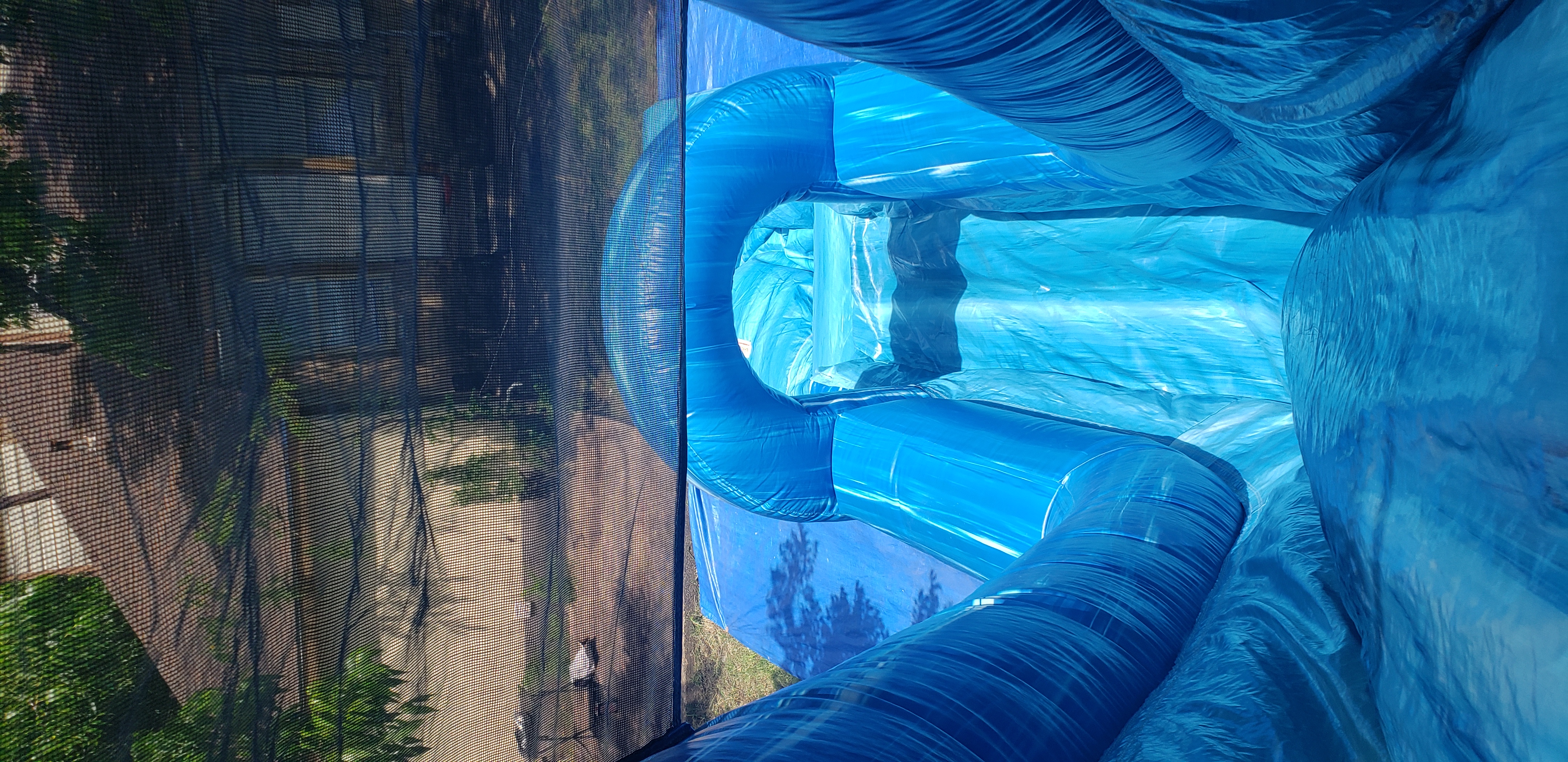 18ft Tall Dolphin Waterslide - Party Inflatable Rentals in Texas ...