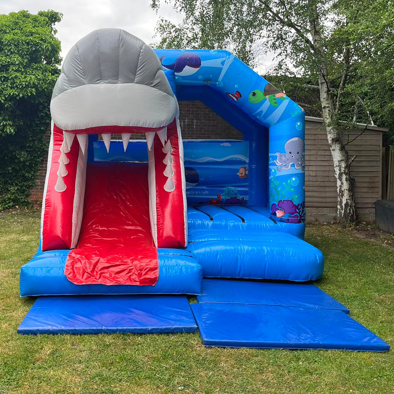 3D Shark Castle Slide Combo - Inflatable, Bouncy Castle, Entertainment ...