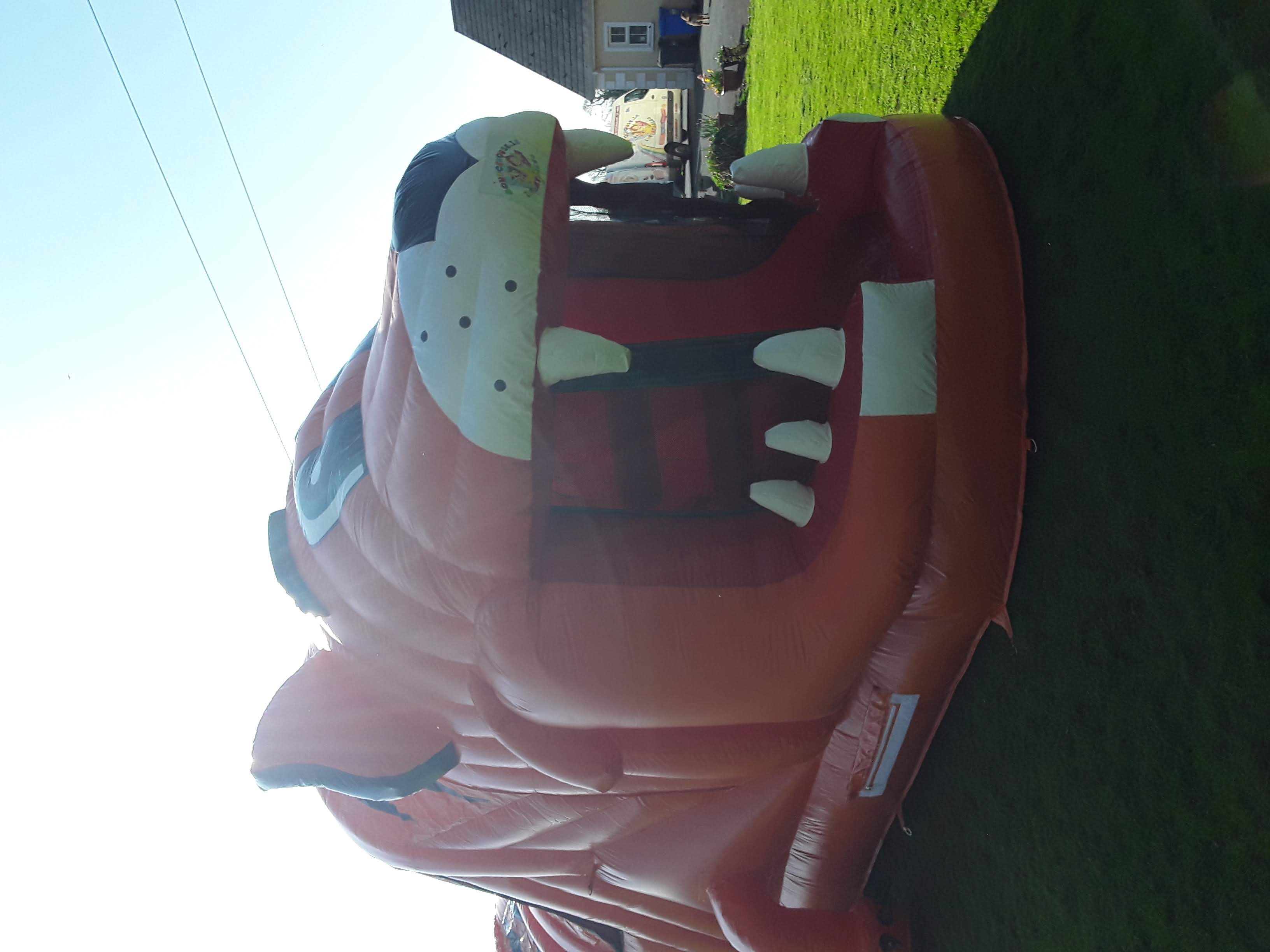 Tabby the Tiger High Slide Obstacle Course - Hire in Kilkenny