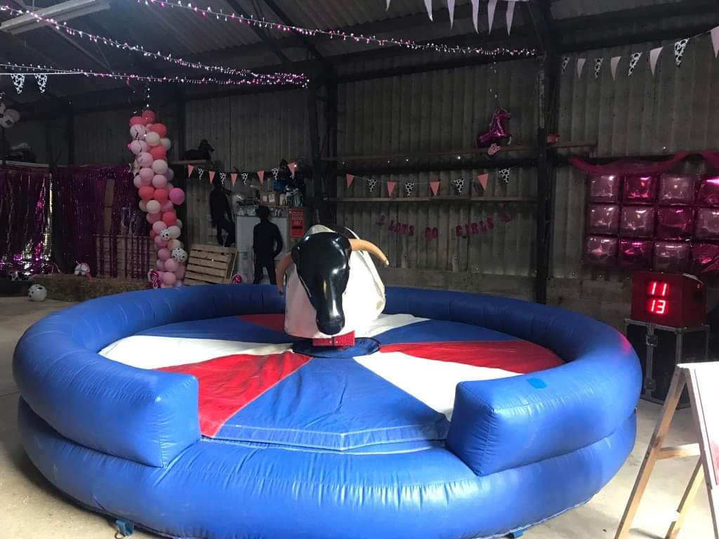 Rodeo Bull - Hire in Lincoln | Lincs bounce