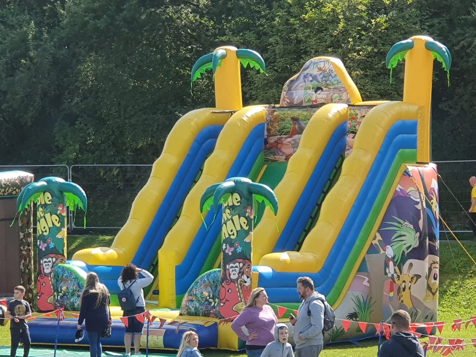 Jungle Large Slide - Hire in UK | Simply The Best Events