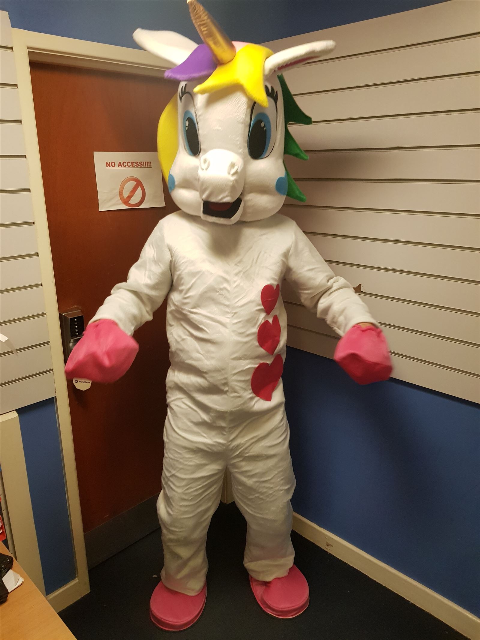 Mascot Suits - Bouncy Castle Hire in North Yorkshire