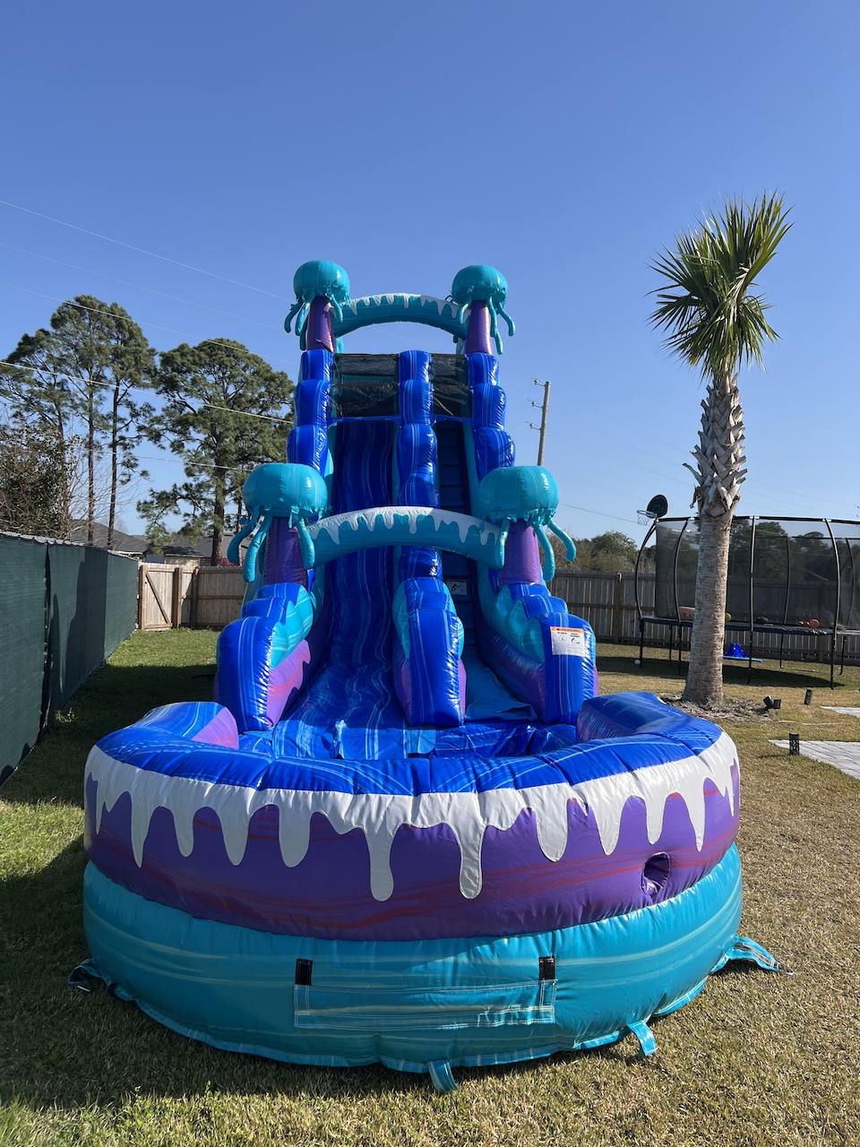 21' Jellyfish Jolt (WET or Dry) - Bounce House Hire in FL | JT Jumpers, LLC