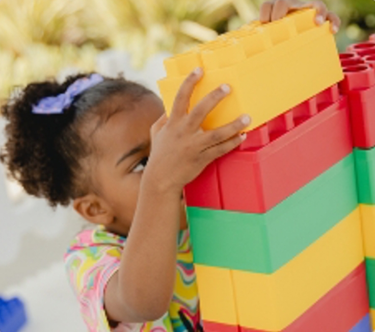 Lego Biggo Block Party Rental delivered to your home or venue