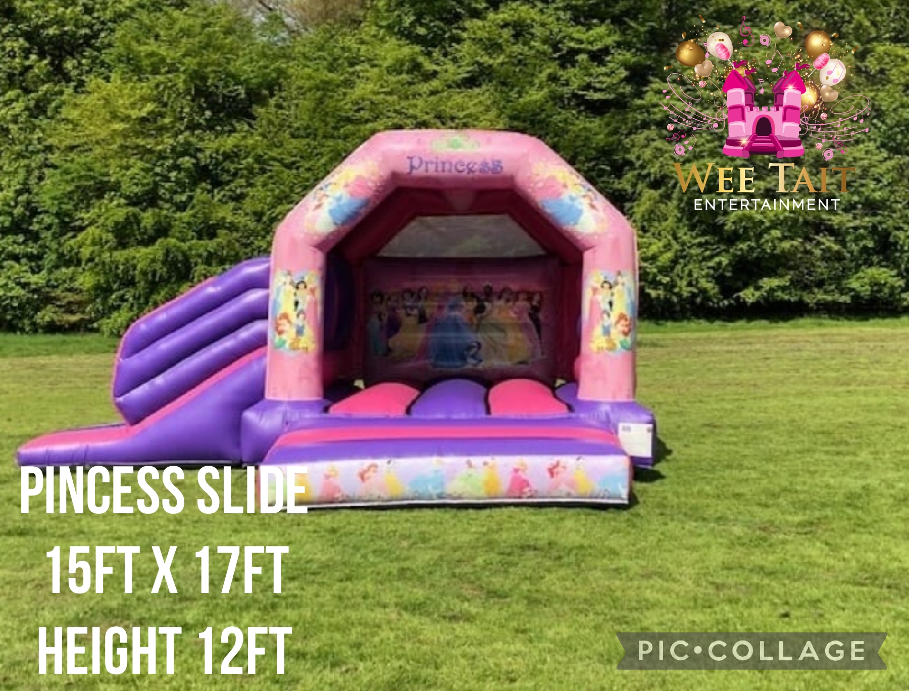 Princess Slide Castle - Entertainment Hire in City Of Glasgow | Wee ...