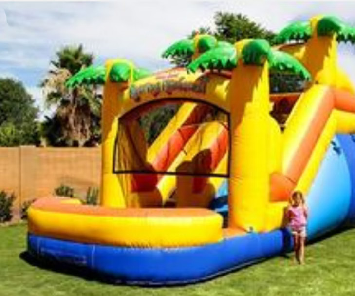 ROARING RAINFOREST 15' WATER SLIDE - Bounce House Rentals in Upstate SC ...