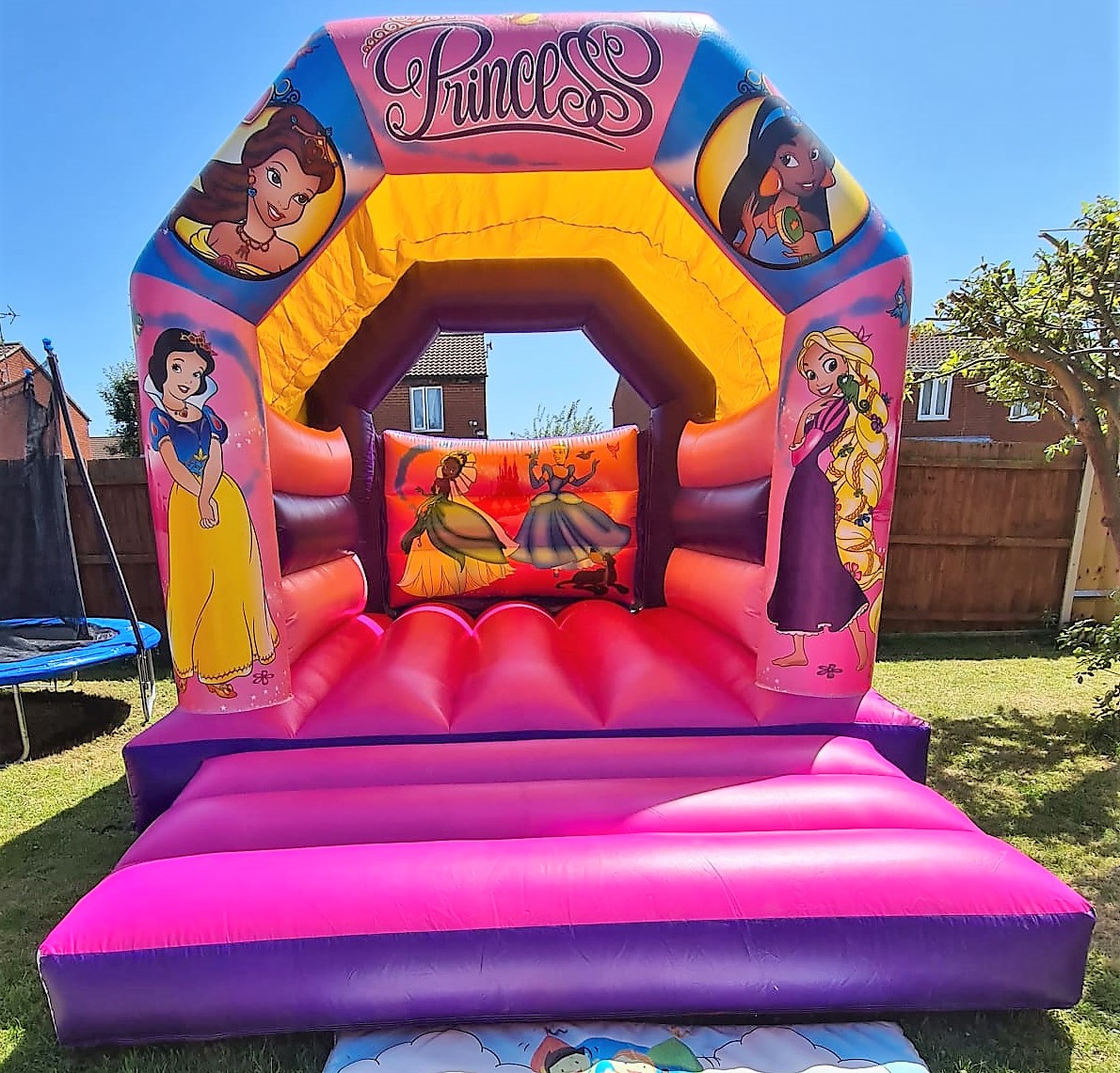 Princess Themed Bouncy Castle With Pink And Purple Air Juggler Ball ...