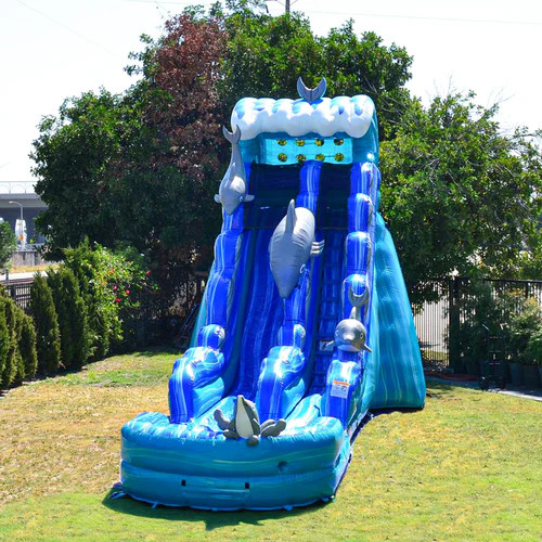 20ft Dolphin Water Slide