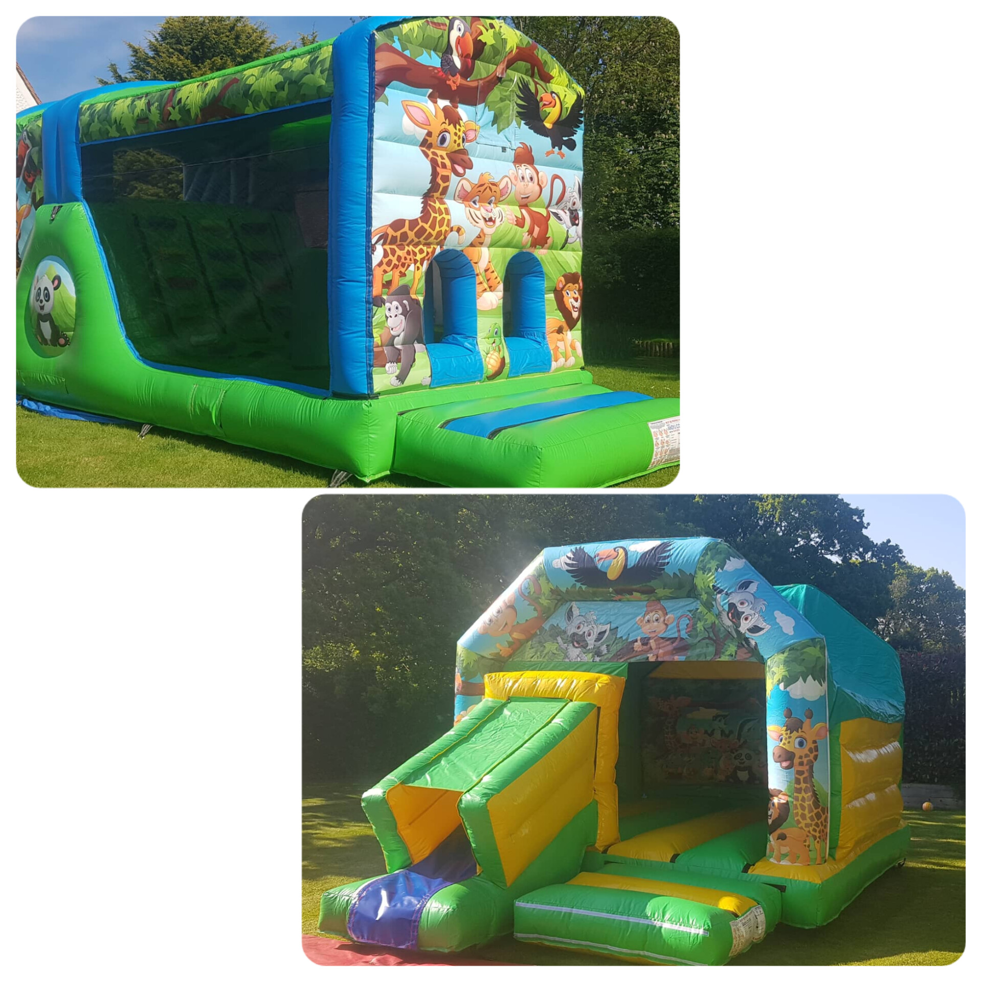 Jungle themed inflatables for hire in Chelmsford and Essex area.