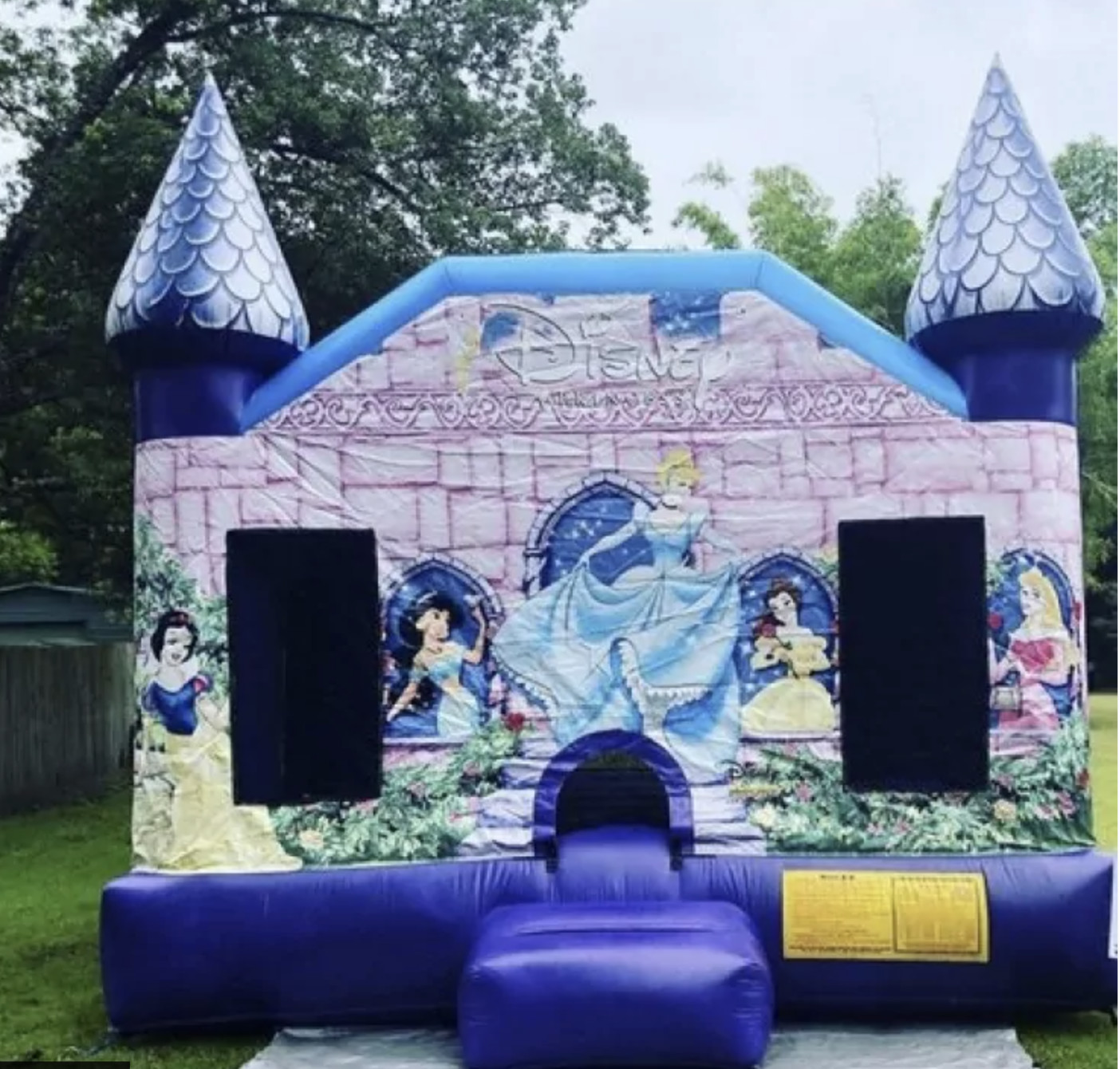 Themed Bounce Houses - Bounce House Rental in Illinois | Chicago ...