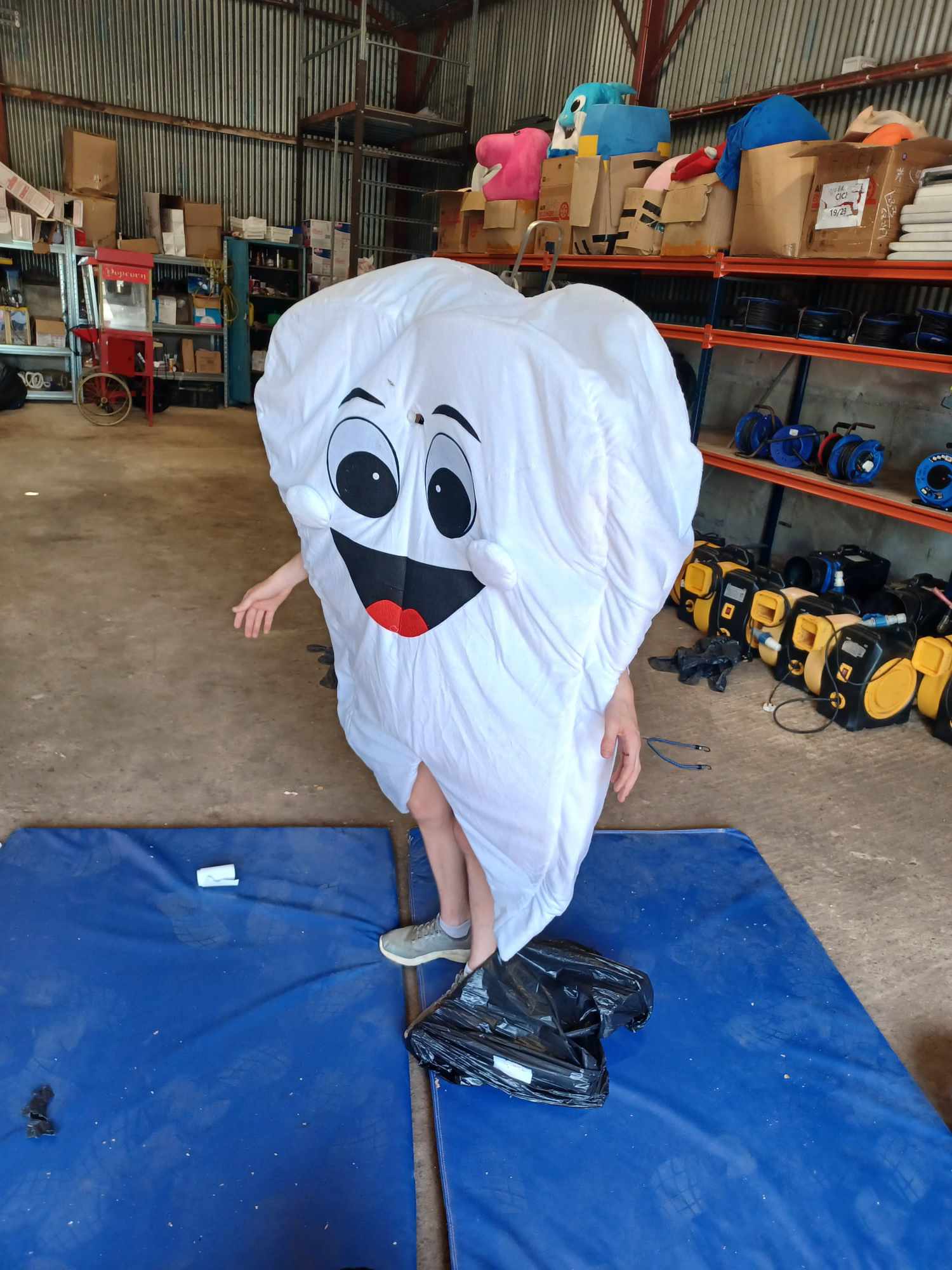 Mascots For Hire - Best Ice-Cream van, Bouncy Castle Hire service in ...