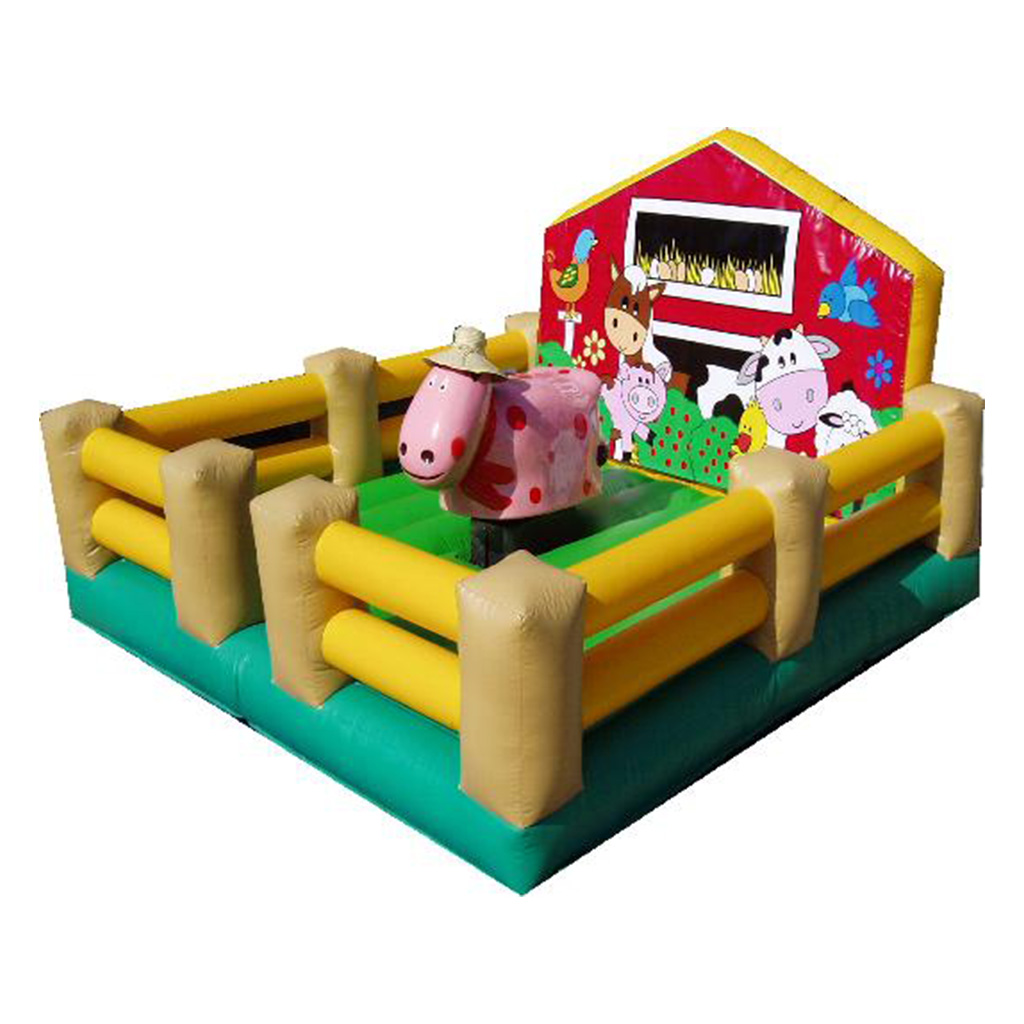 Rodeo Rides - Hire in Chichester | Jumping Jacks