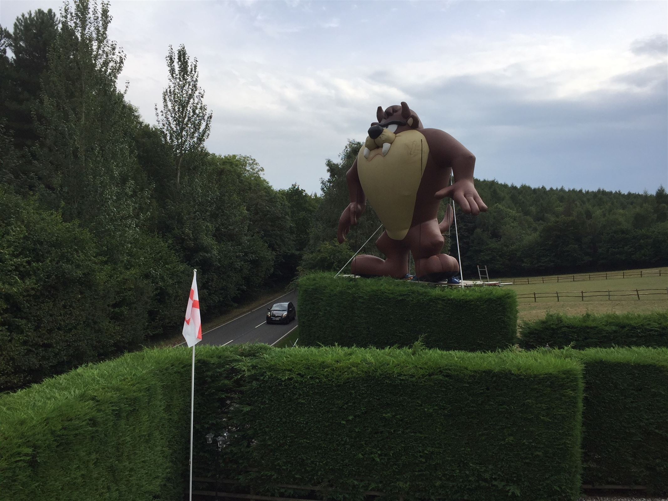 Tasmanian Devil Taz Inflatable 25ft High - Bouncy Castle Hire in Kent ...