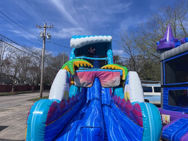 1 New for 2025 Beach Life 20 ft Double Lane water slide - Rent in South ...