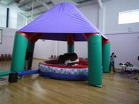 Bucking Bronco Hire - Bouncy Castle, Party Hire, Bucking Bronco in ...