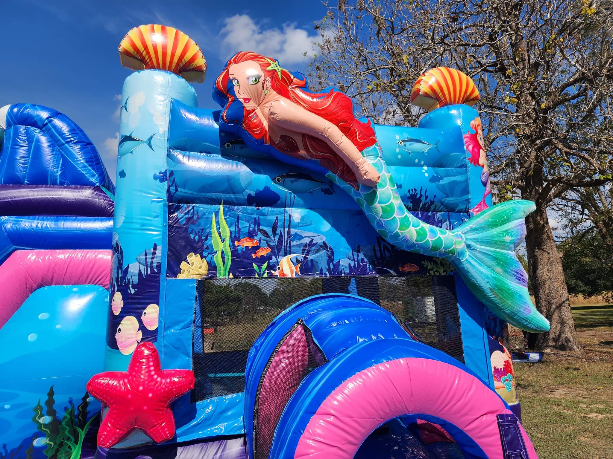 Mermaid Combo - Rental in Lafayette, LA and the surrounding areas ...