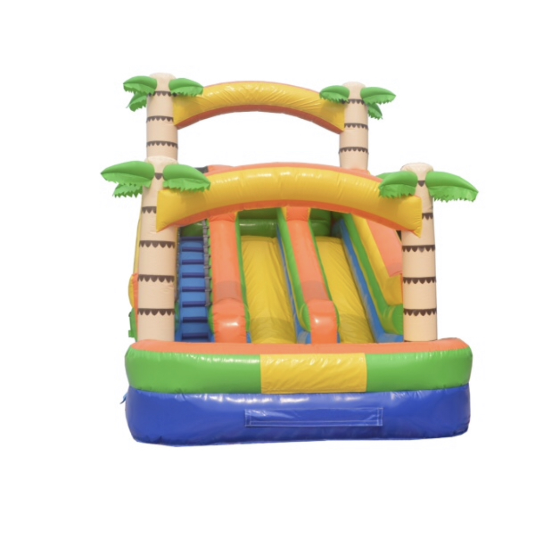 ADVENTURE ISLAND DUAL LANE TROPICAL COMPETITIVE SLIDE WET - Inflatable ...