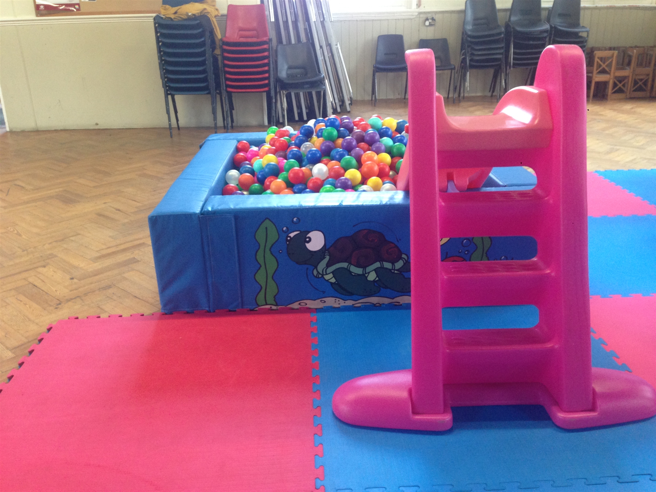Sea Life Themed Ball Pond for hire London
