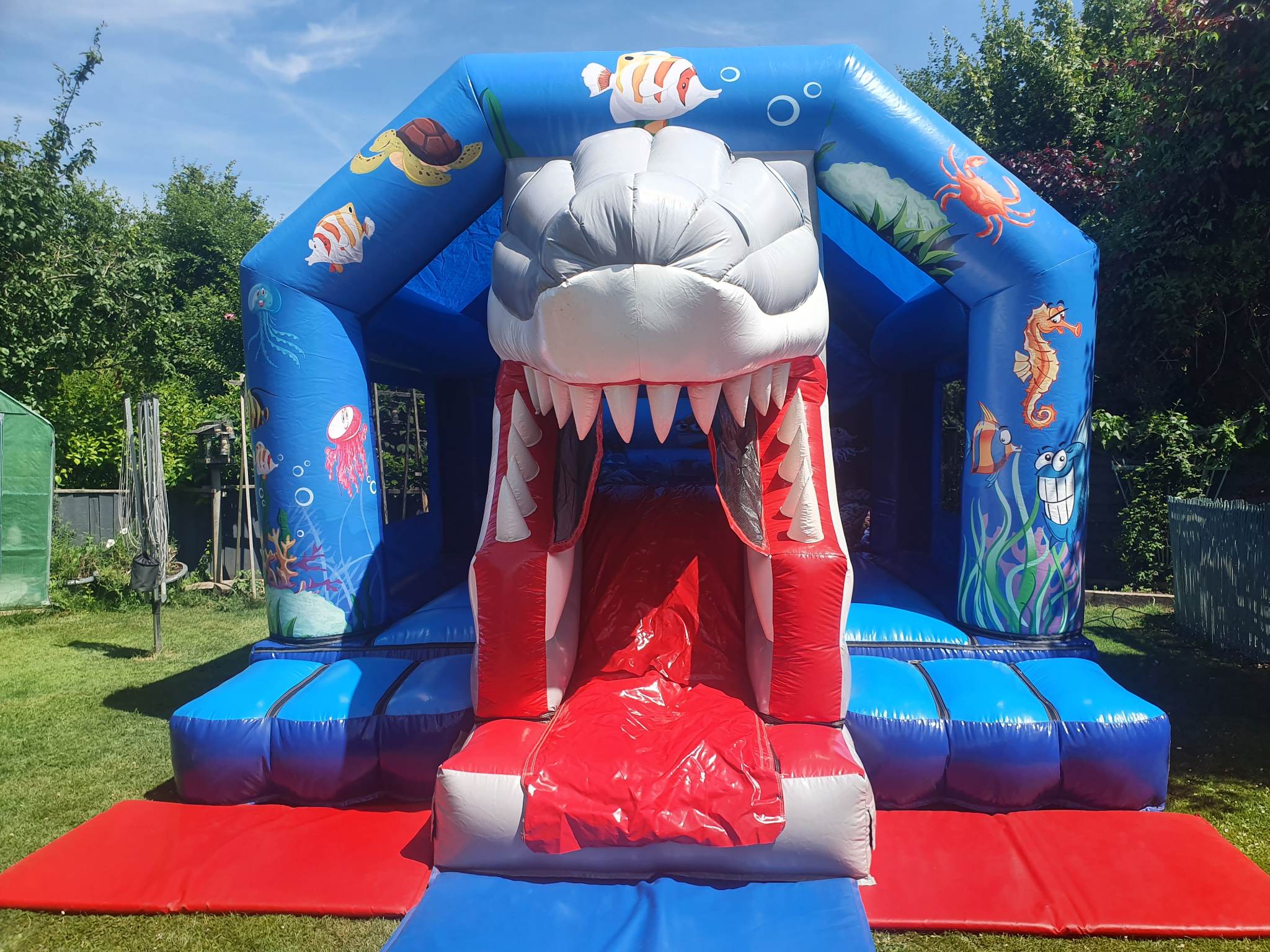 New 3D Inflatables - Bouncy Castle Hire, Slides, Rodeo bull ice cream ...