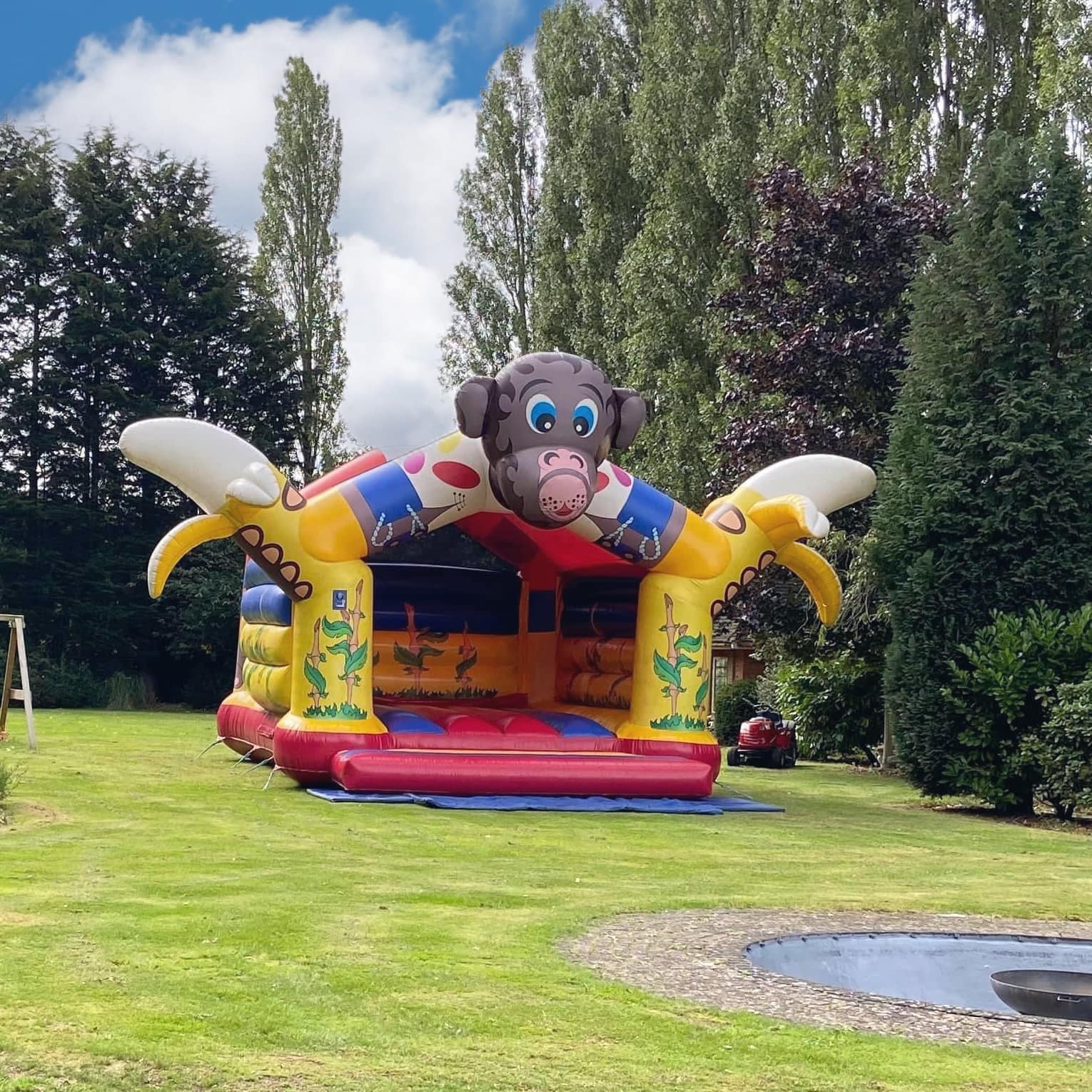 Large Monkey Inflatable-23ft x 23ft - Bouncy Castle and Soft Play Hire ...